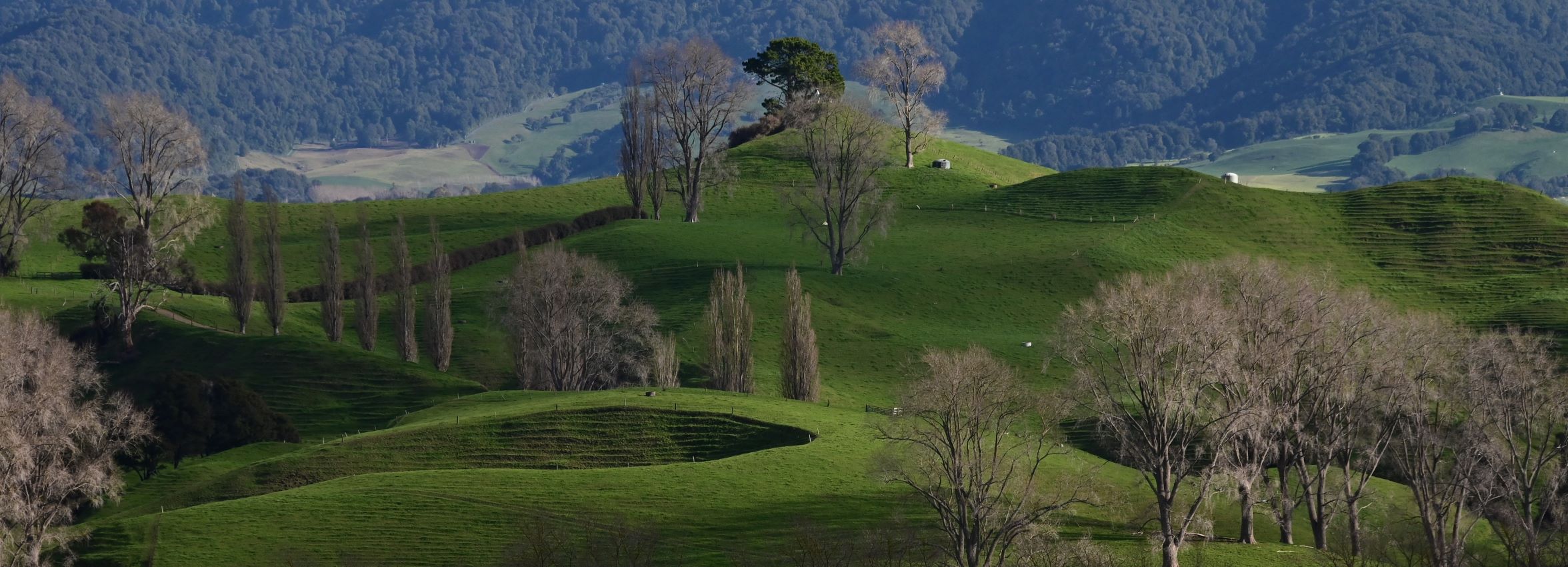 What really drives profitability on pastoral farms – the right story ...